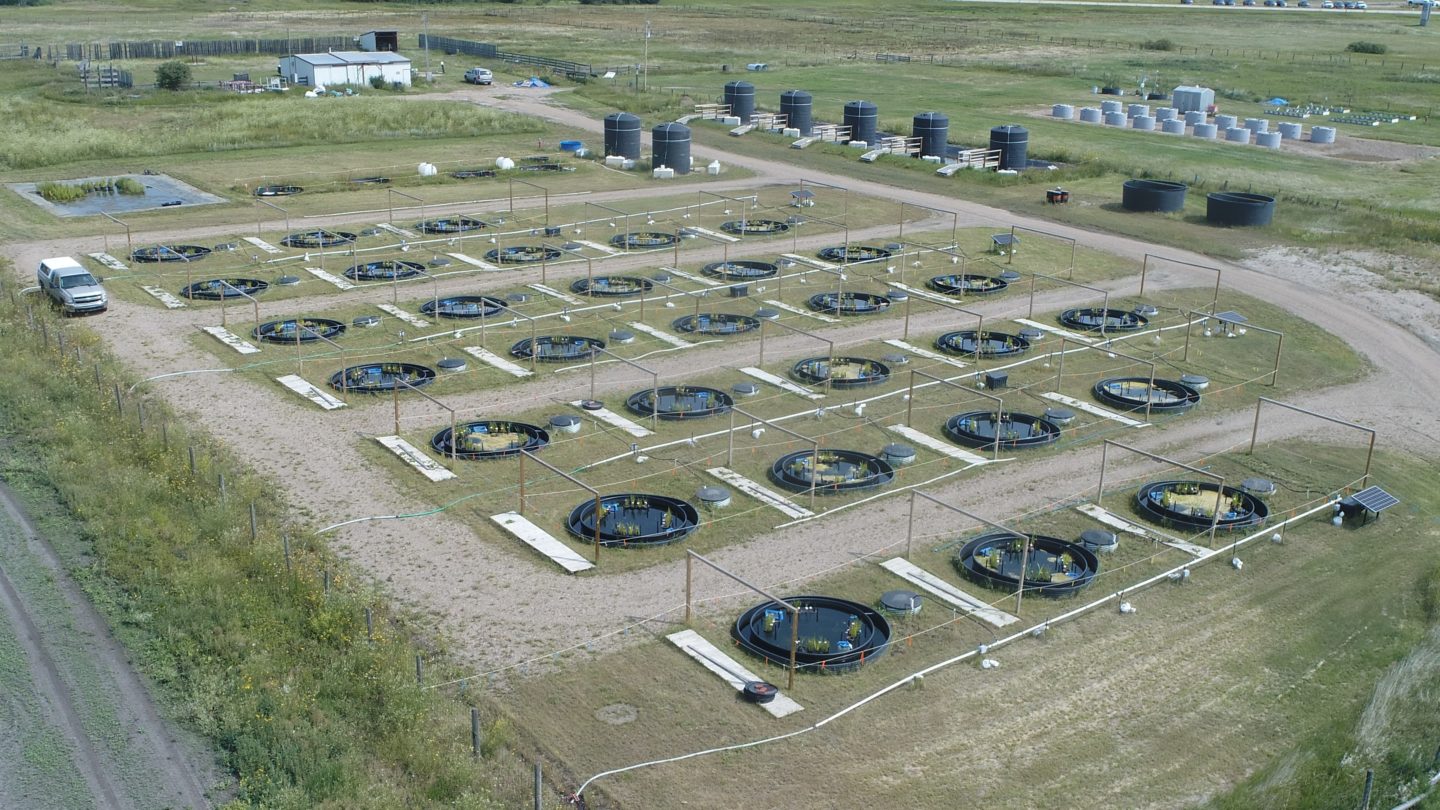 Here's how oil sands innovators are pioneering technologies that could ...