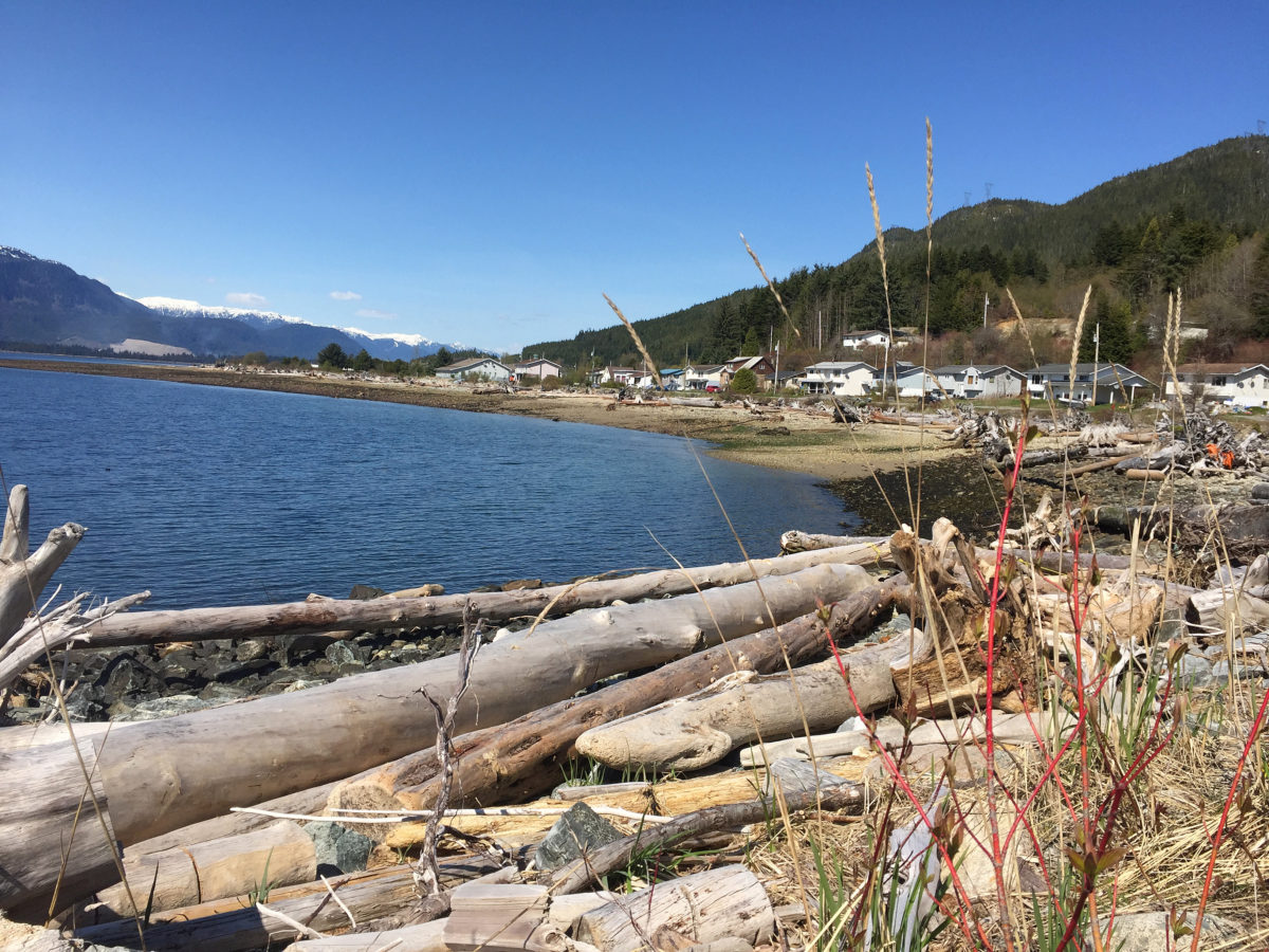 Haisla Nation Chief Councillor Crystal Smith no stranger to double ...