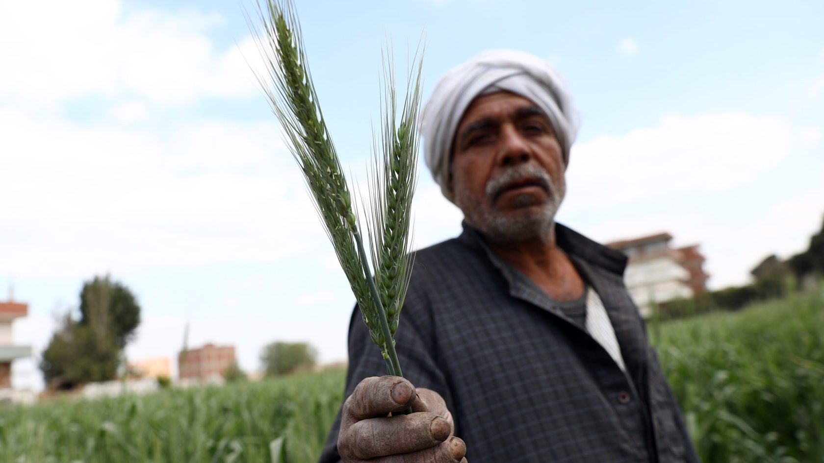 David Yager: Will Canada Supply the Fuel and Food the World Needs ...