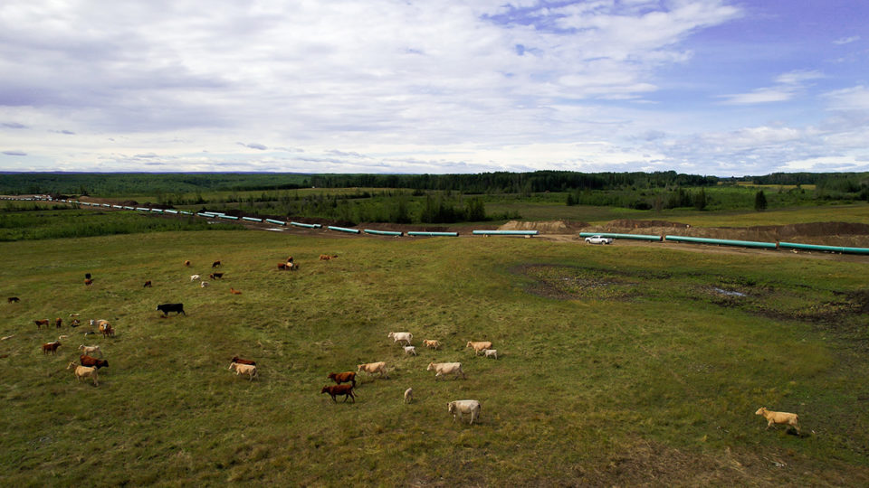 Western Canada’s natural gas ‘brutally disconnected’ from high U.S ...