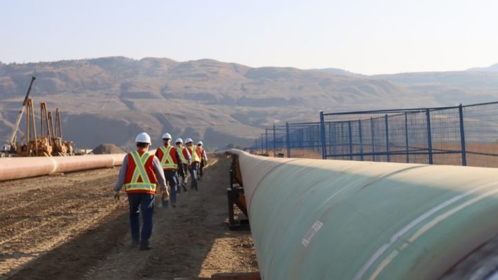 Trans Mountain Expansion Reports ‘Unprecedented’ Collaboration with ...